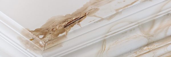 How to Fix a Pinhole Leak in Copper Pipe | Leaky Pipe & Pinhole Repair ...